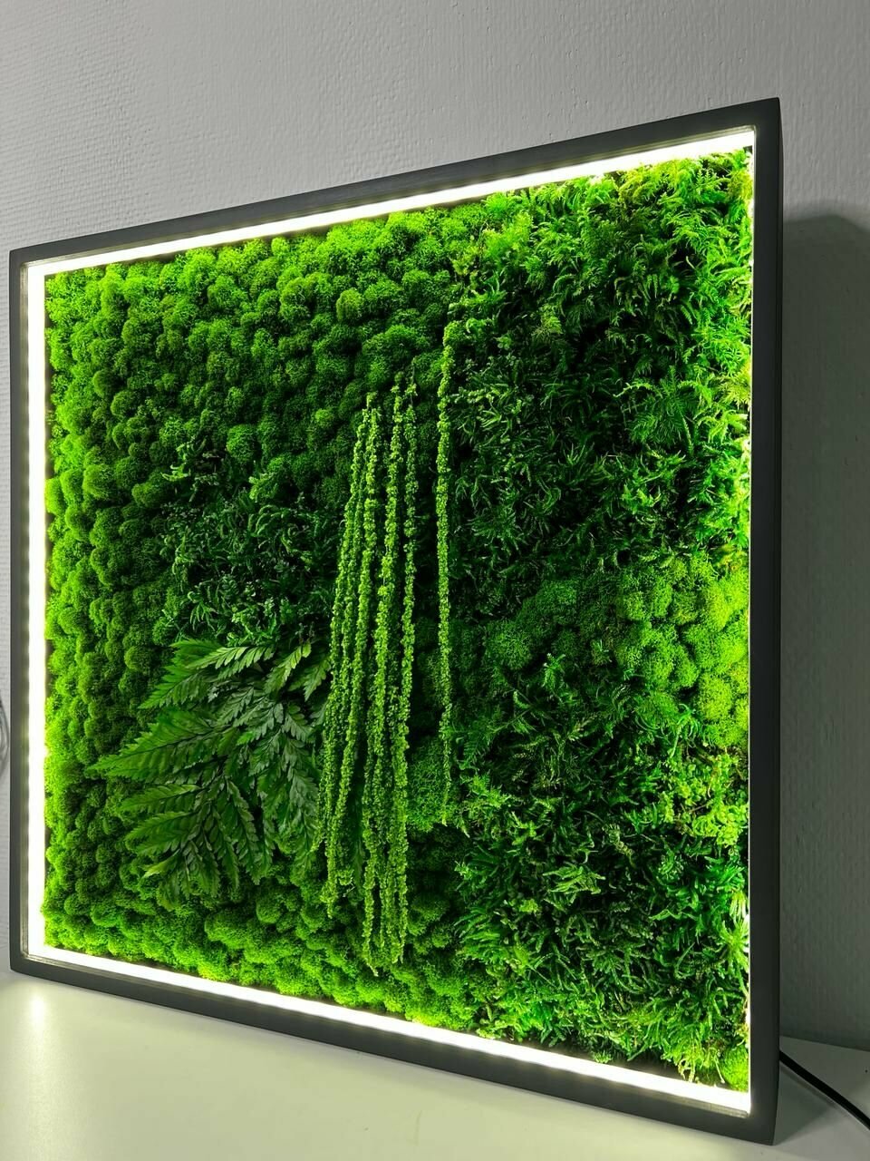 Панно 50 см со мхом и растениями; стабилизированный мох; картина с растениями MyMossLife