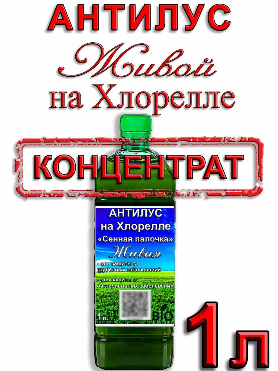 Антилус. Живой на Хлорелле (Сенная палочка), 1 литр