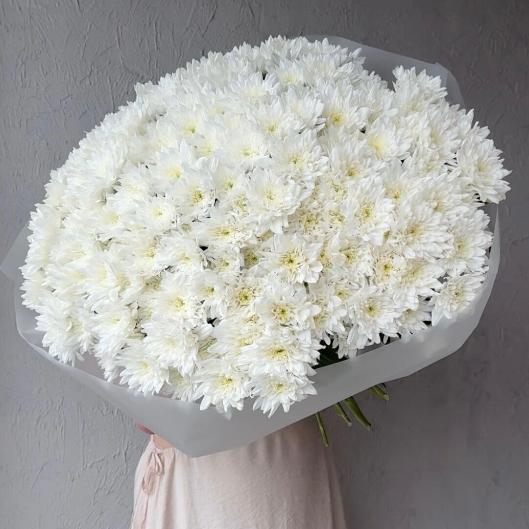 Букет из белых кустовых хризантем 51 шт, красивый букет цветов, шикарный, премиум цветы, премиум букет
