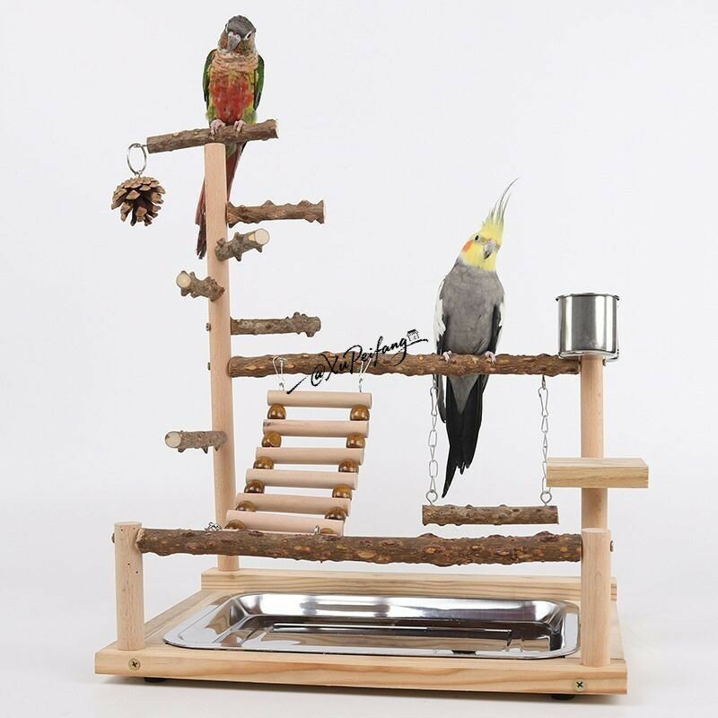 Попугай, птичья клетка, развивающая игрушка-кронштейн. Поднимитесь по лестнице. качать