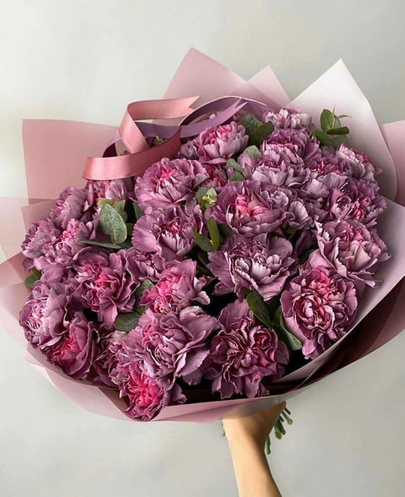 Букет из махровых диантусов Exotic "Hypnosis" цветы с доставкой до двери