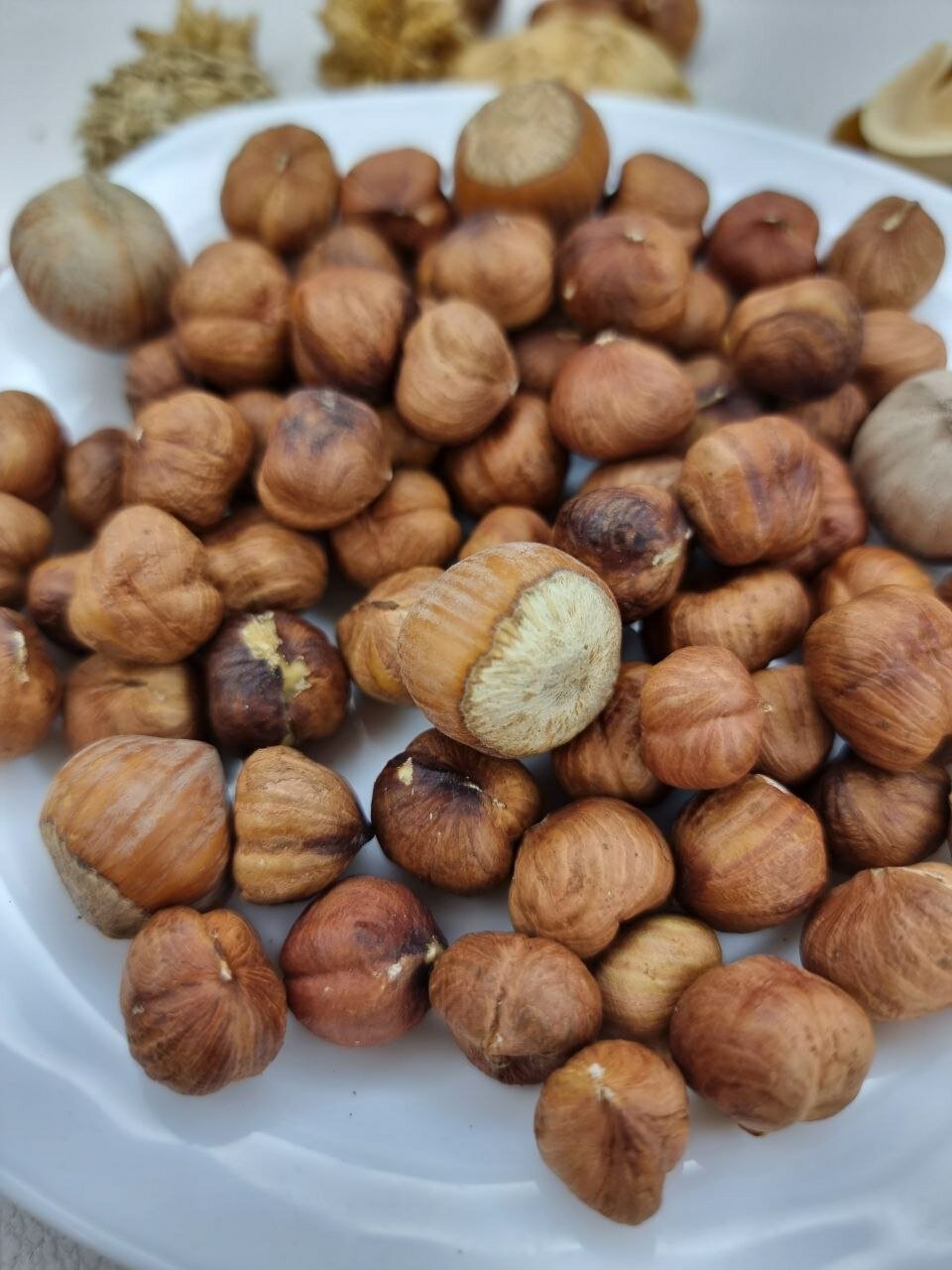 Фундук сырой