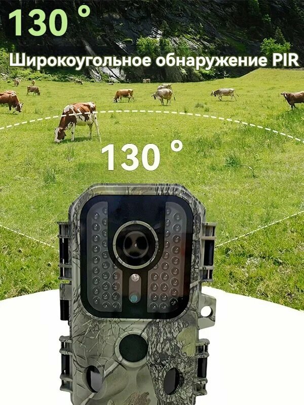 Фотоловушка — фото 1