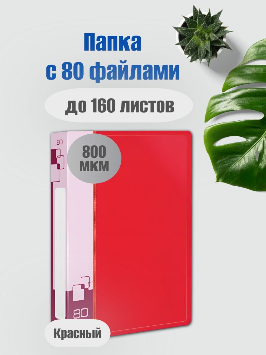 Папка с файлами A4 Консул, 80 вкладышей, 800 мкм, цвет красный