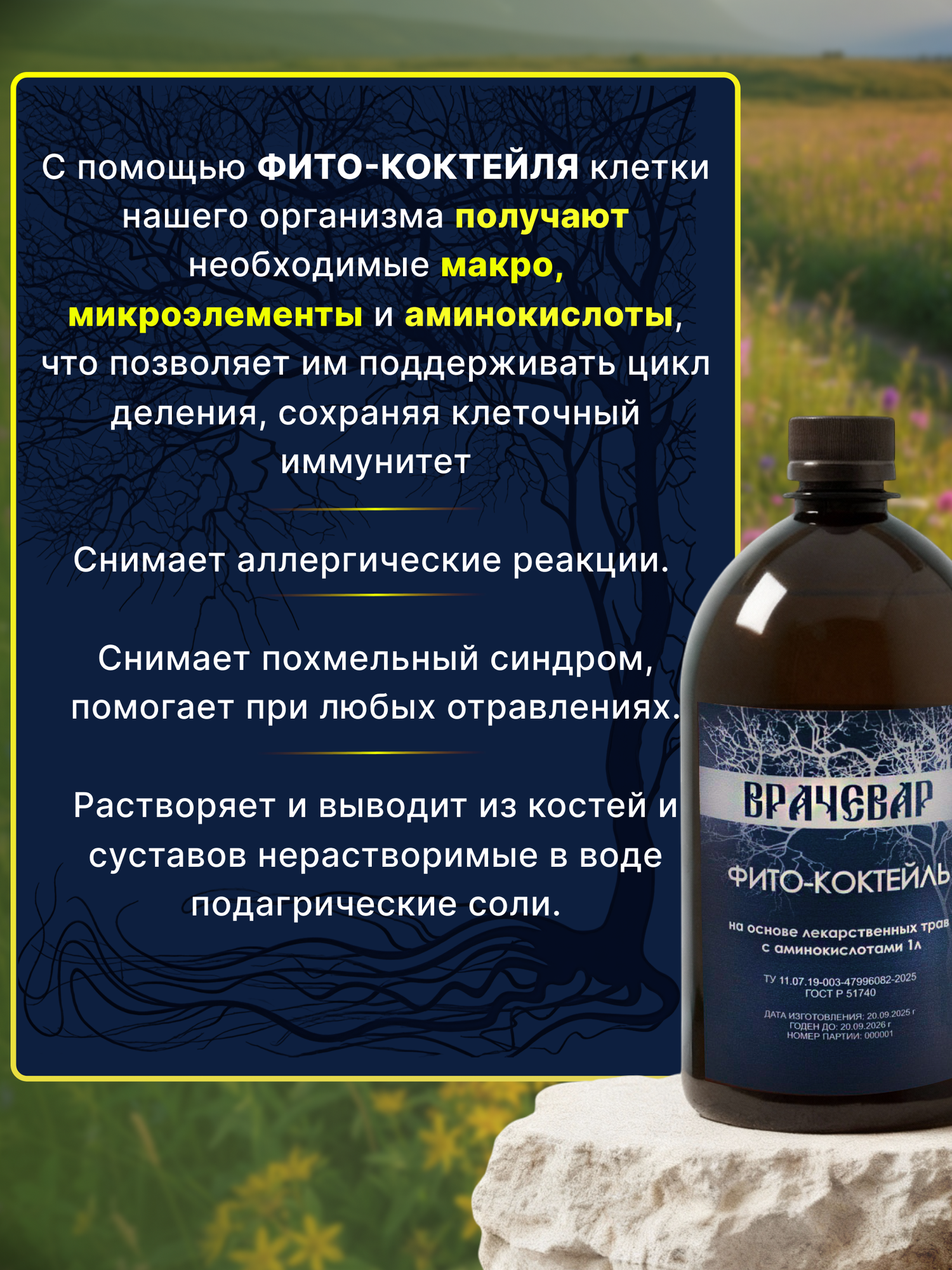 Фито-коктейль для иммунитета — фото 1