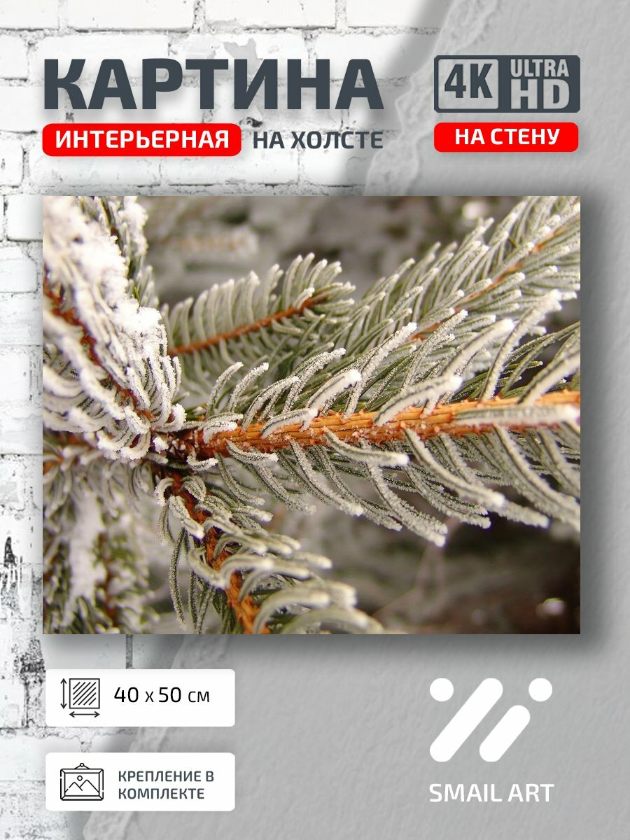 Картина на холсте интерьерная 40 на 50 на стену Зима Landscape для кафе пейзаж интерьер