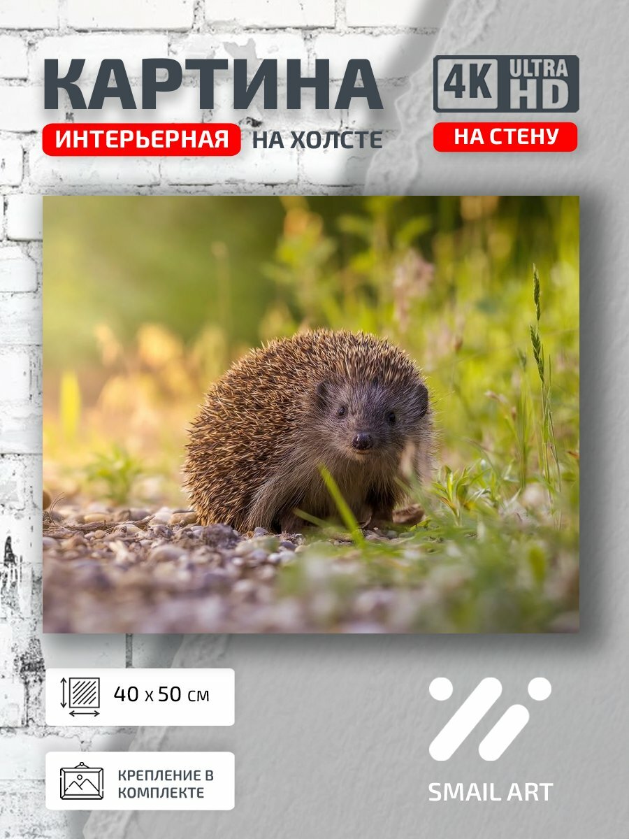 Картина на холсте интерьерная 40 на 50 на стену Трава Mood для спальни атмосфера интерьер