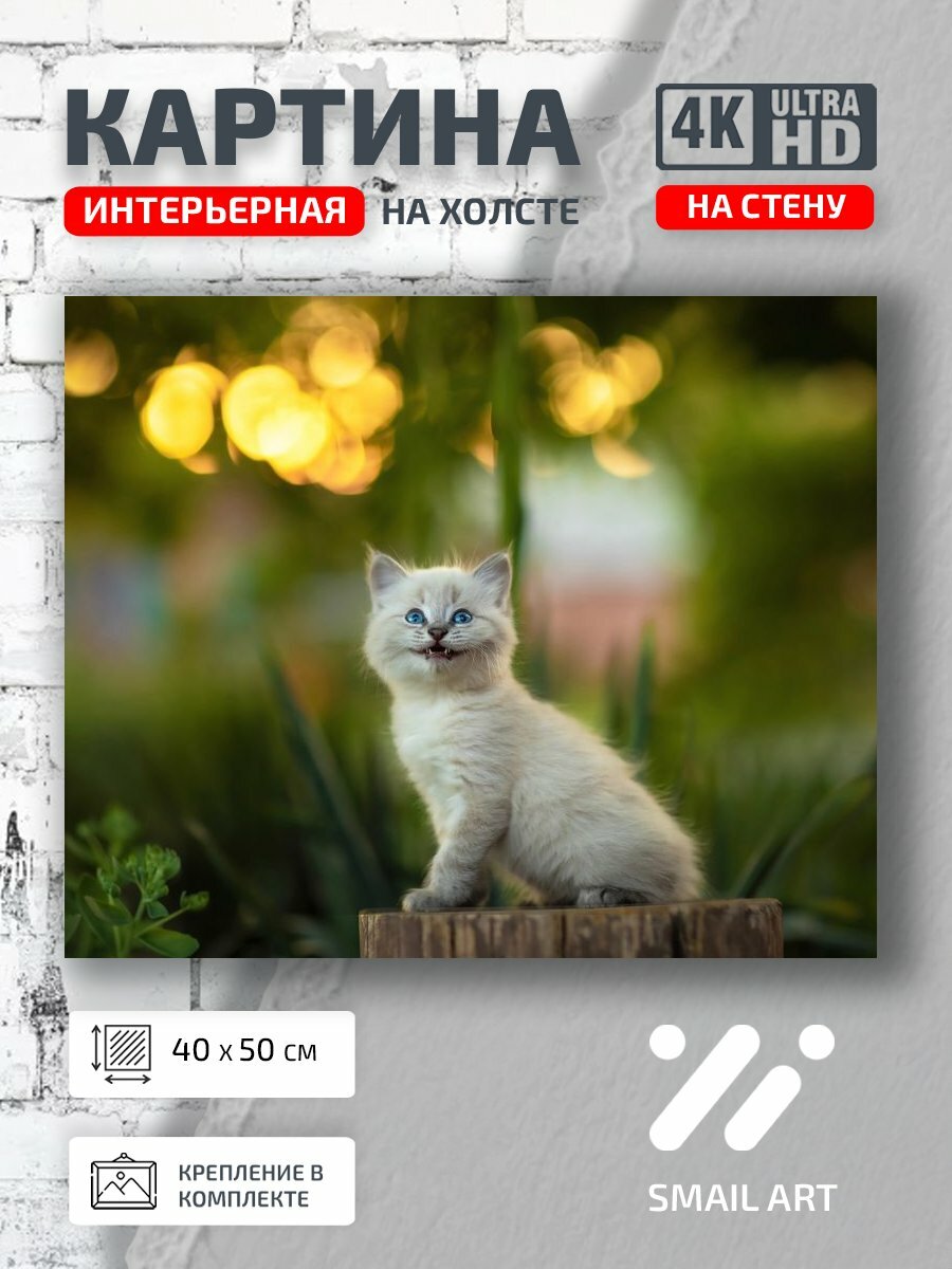 Картина на холсте интерьерная 40 на 50 на стену Юмор Animal для спальни animal style декор