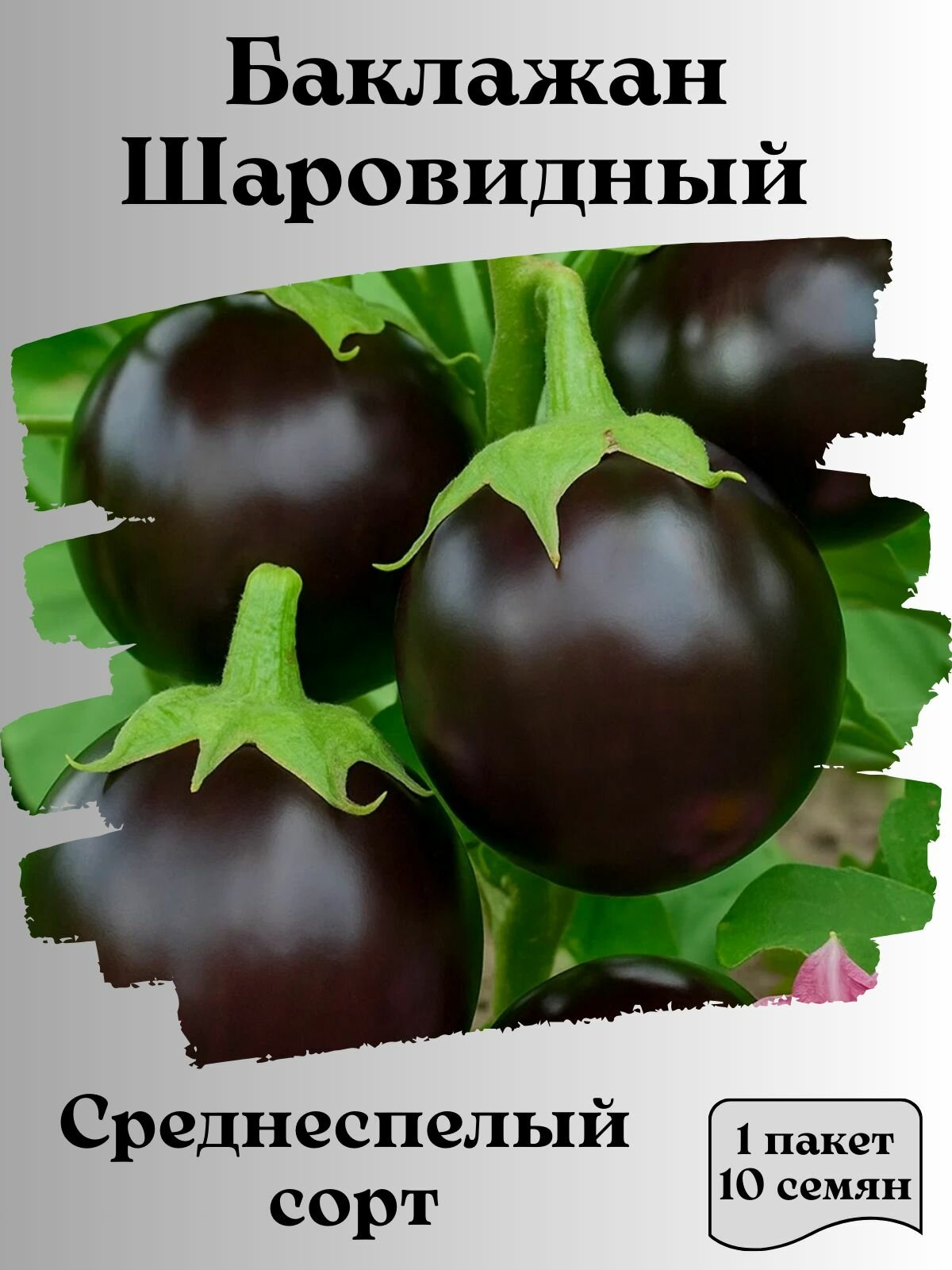 Баклажан Шаровидный, семена, 10 шт, 15 гр.