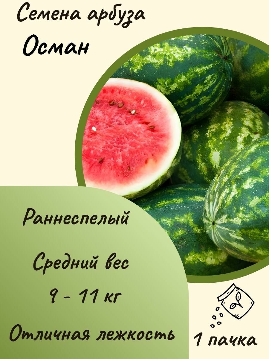 Семена арбуза Осман, 10 шт. семян
