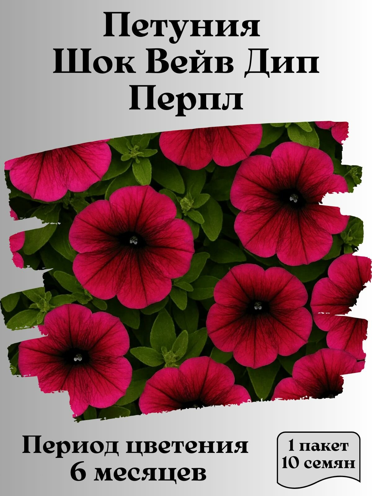 Петуния Шок Вейв Дип Перпл, семена, 10 шт, 15 гр.
