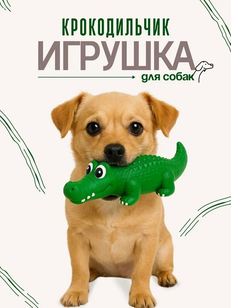 Игрушка для собак с пищалкой Крокодил, с массажным эффектом / игрушка из латекса для мелких и средних пород. Размер 21х5 см, Цвет зеленый.