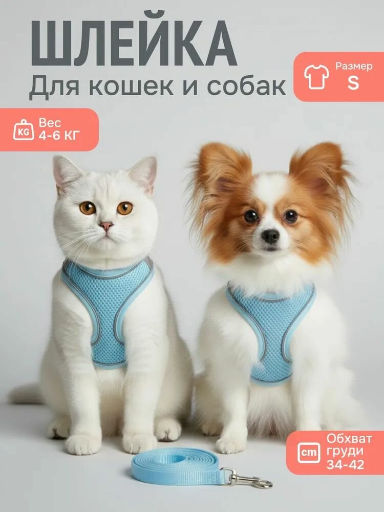 Шлейка для котят, кошек и собак мелких пород, обхват груди 34-42, с поводком, синий, размер S