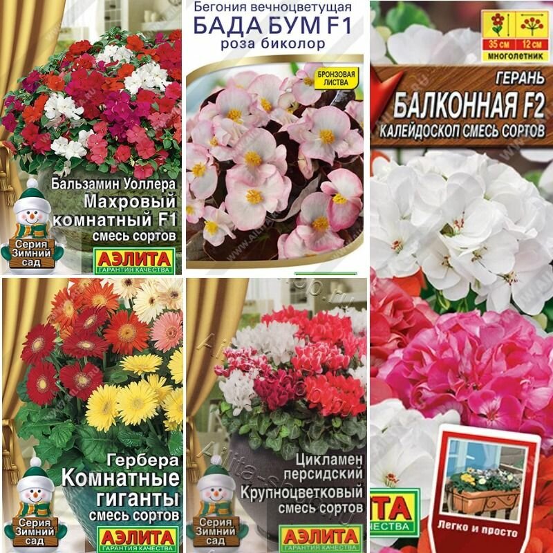 Набор семян Комнатных цветов, Бальзамин, Бегония, Герань, Гербера, Цикламен / 5 пачек