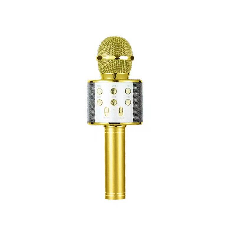 SG Горячая продажа микрофона и динамика, интегрированный микрофон для домашнего караоке, детский беспроводной Bluetooth KTV, универсальный кросс-бордер WS858