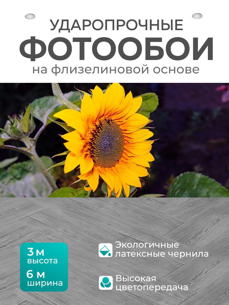 Фотообои моющиеся ударопрочные "Подсолнух, лучевые соцветия, желтый" 600x300 см. флизелиновые на стену