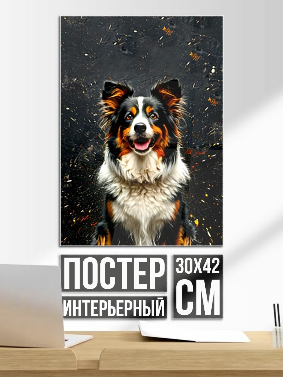 Постер на стену Бордер-колли на черном
