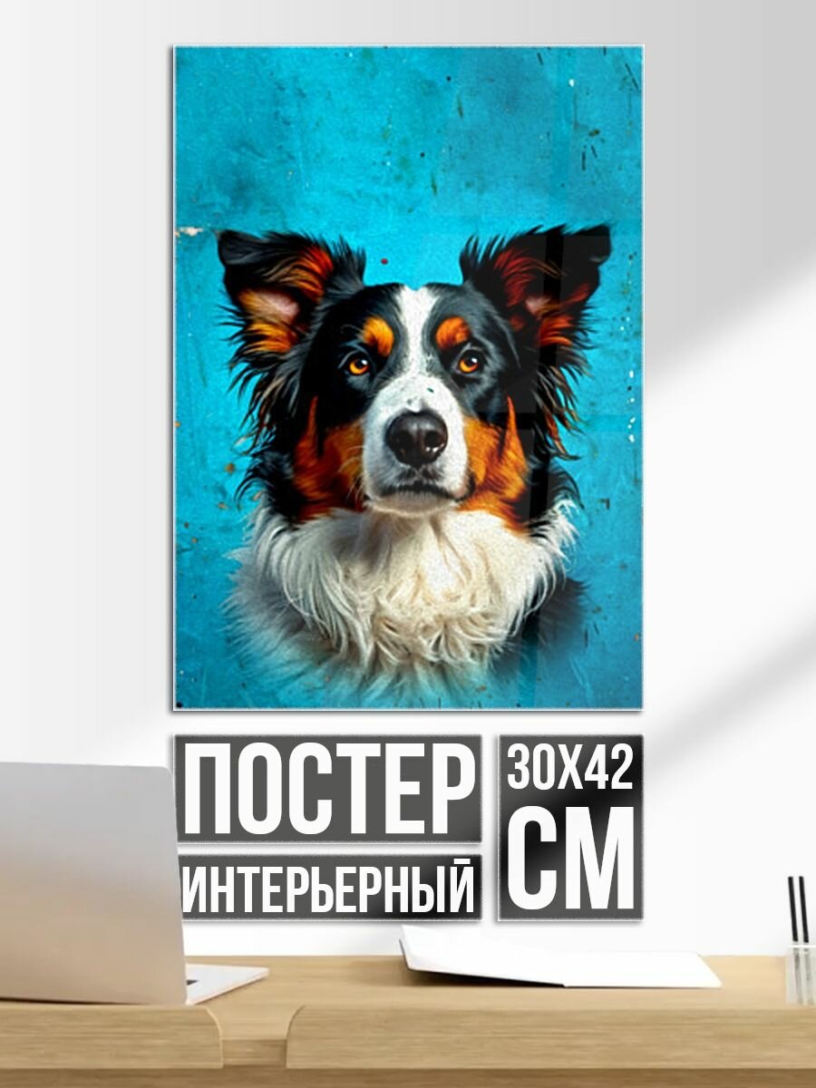 Постер на стену Бордер-колли на синем