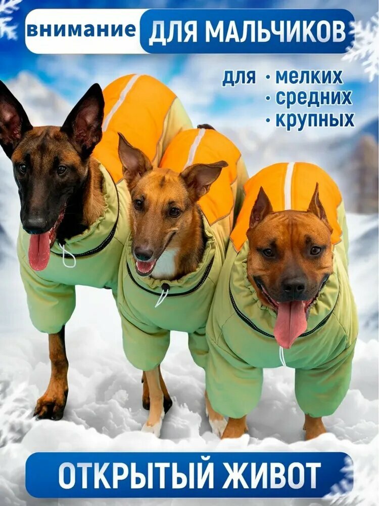 Утепленный комбинезон для собак мальчиков