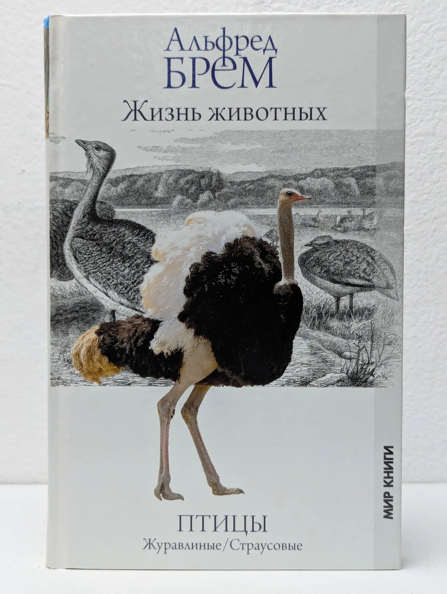 Жизнь животных. Птицы. Журавлиные, поисковые, ластокрылые, буревестниковые, боевые птицы, шпорцекрылые, нанду, каузаровые, страусовые Брем Альфред Эдмунд 2011