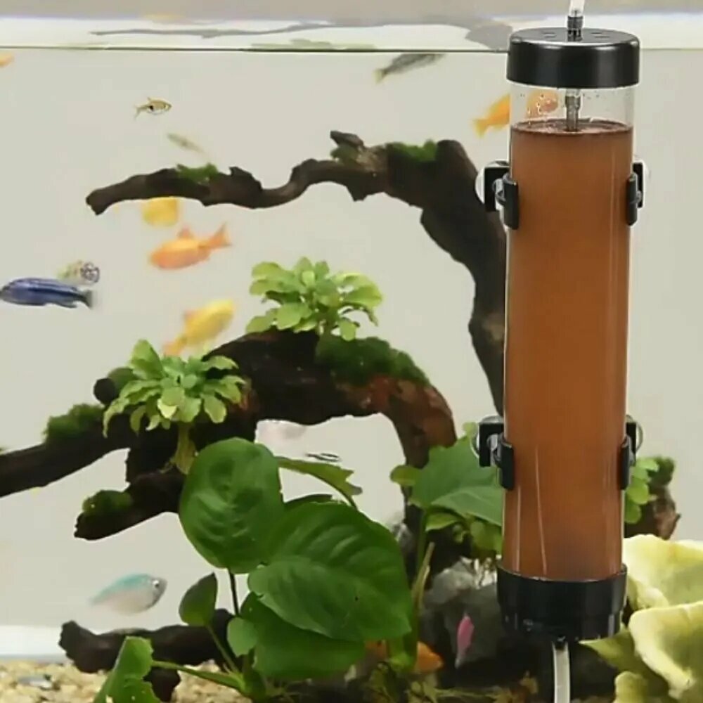 Инкубатор яиц артемии