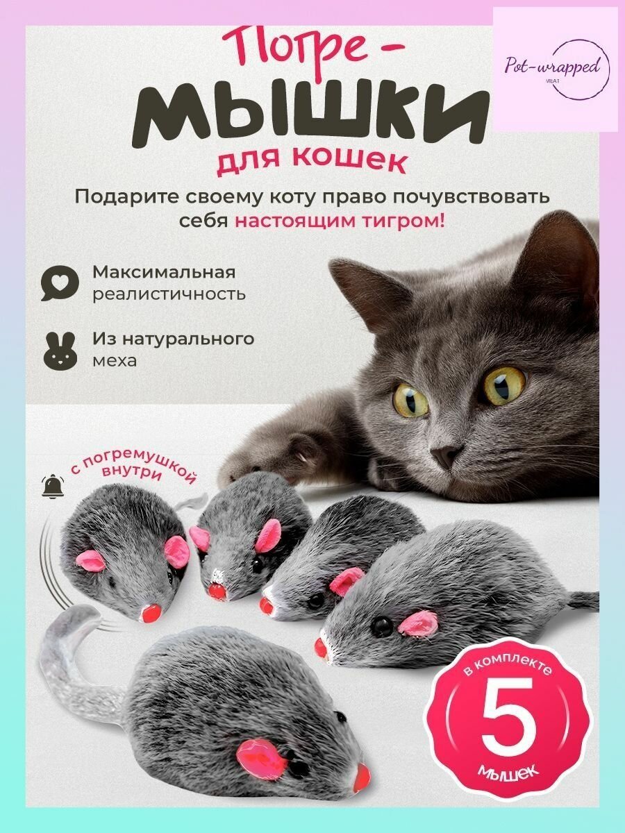 Эксклюзивная зооаксессуар