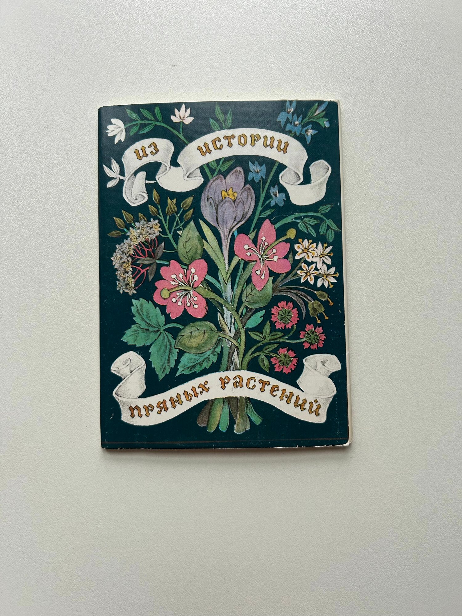 Набор открыток Из истории пряных растений . Художник Н. Т. Барботченко. Полный комплект из 16 открыток. Издание 1986 года