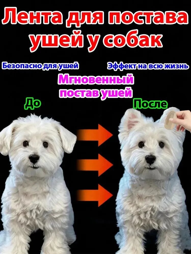 Корректирующие собачьи наклейки для ушей: гипоаллергенные фиксаторы для щенков и взрослых собак, чистые и натуральные, 2 шт./упаковка (уход за ушами)