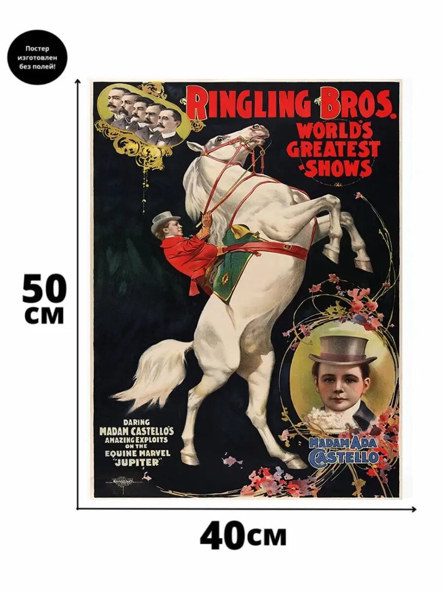 Постер лошадь конный спорт в ретро стиле