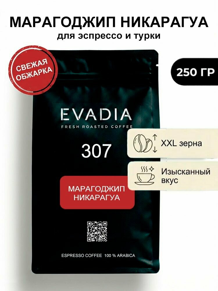 Кофе в зернах марагоджип никарагуа супериор, 250 г, свежеобжаренный, 100% арабика, EVADIA