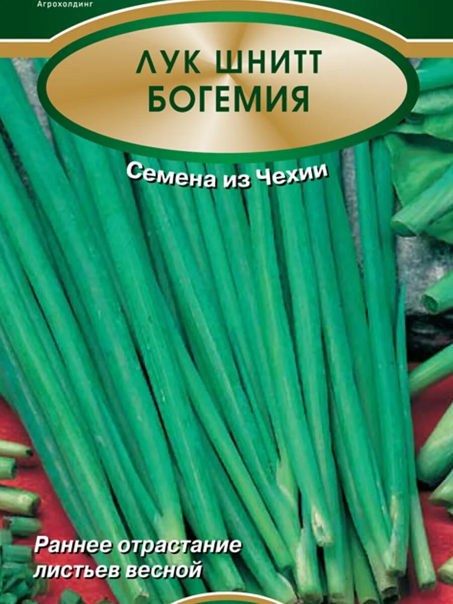 Лук Шнитт Богемия 0,5 г, Семена Поиск