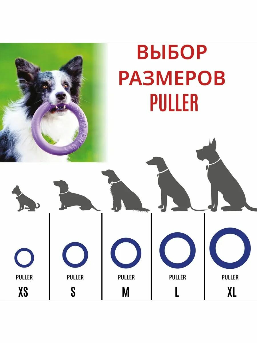 Игрушка Puller XS кольцо для собак, для щенков — фото 1