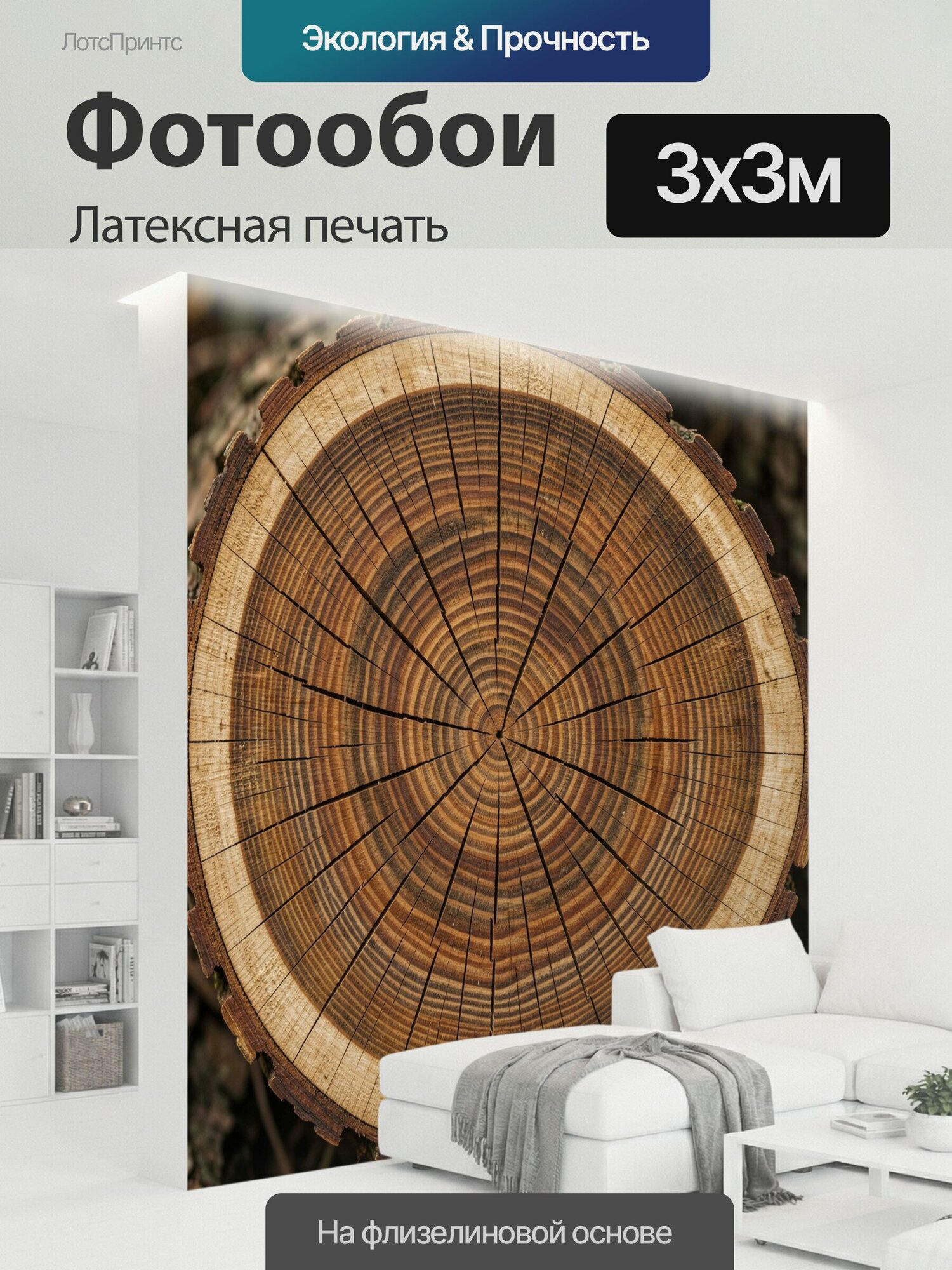 Фотообои моющиеся ударопрочные "Срез древесного ствола с трещинами. Крупный план спила дерева с выразительными годичными кольцами и радиальными." 300x300 см. латексная печать