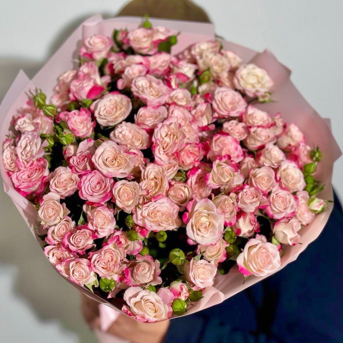 Монобукет из пионовидных кустовых кремово-малиновых роз сорт Рефлекс 21 шт.
