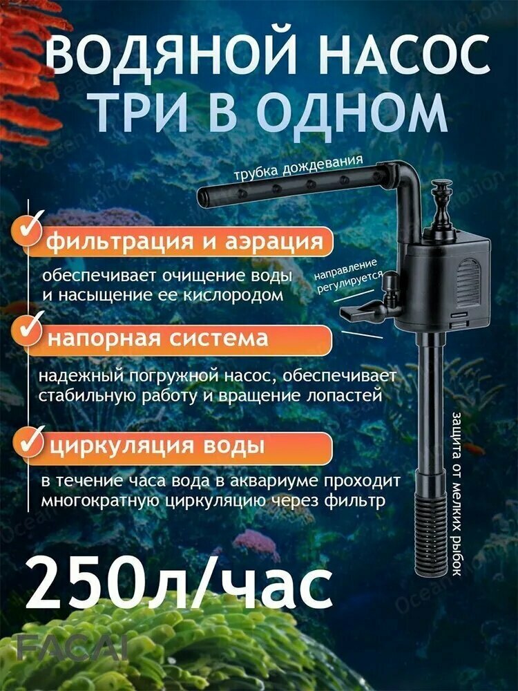 Аквариум — фото 1