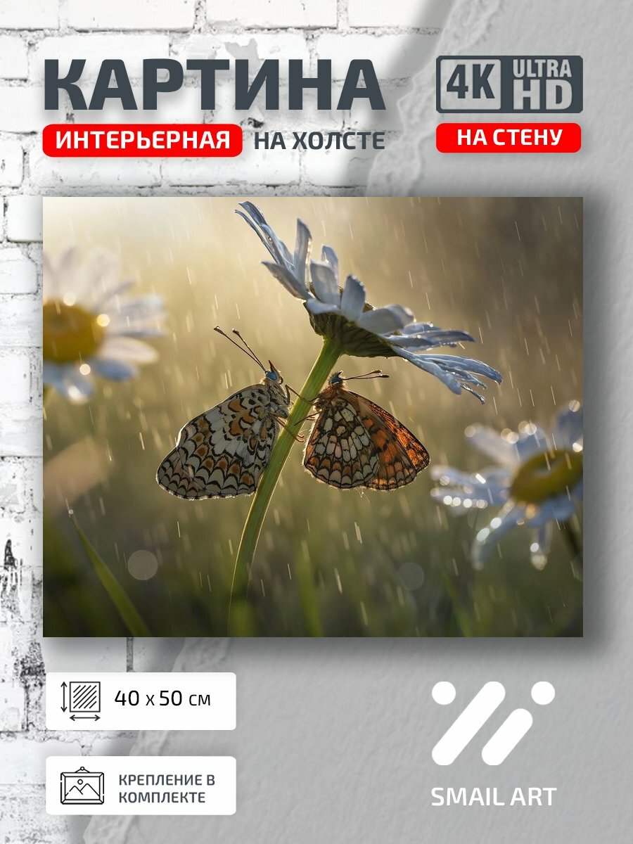 Картина на холсте интерьерная 40 на 50 на стену Дождь Mood для гостиной атмосфера интерьер