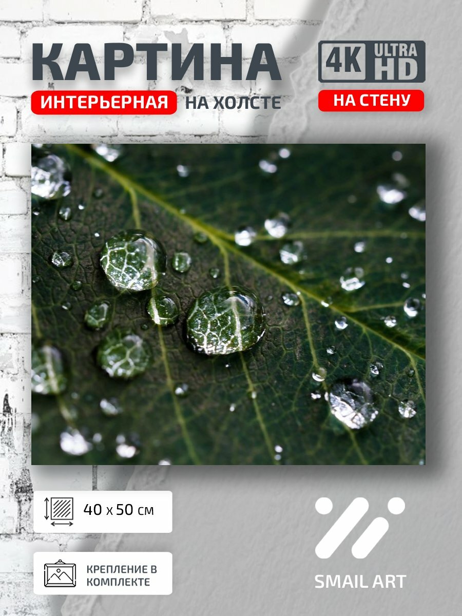 Картина на холсте интерьерная 40 на 50 на стену Капли Macro для гостиной макро интерьер