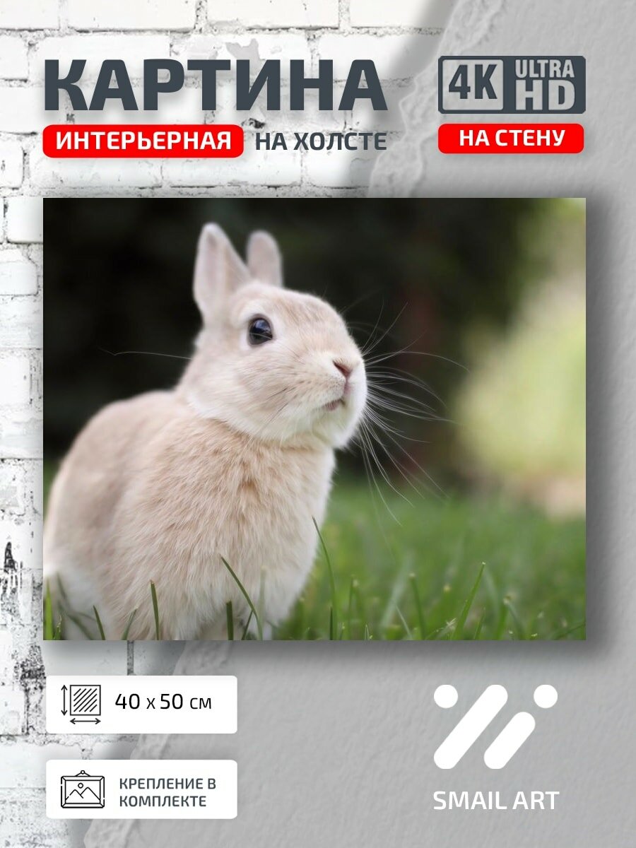 Картина на холсте интерьерная 40 на 50 на стену Серый кролик для спальни атмосфера