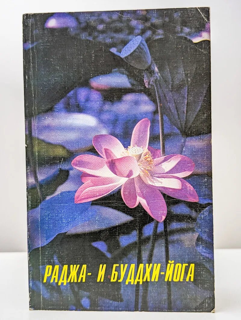 Раджа- и буддхи-йога