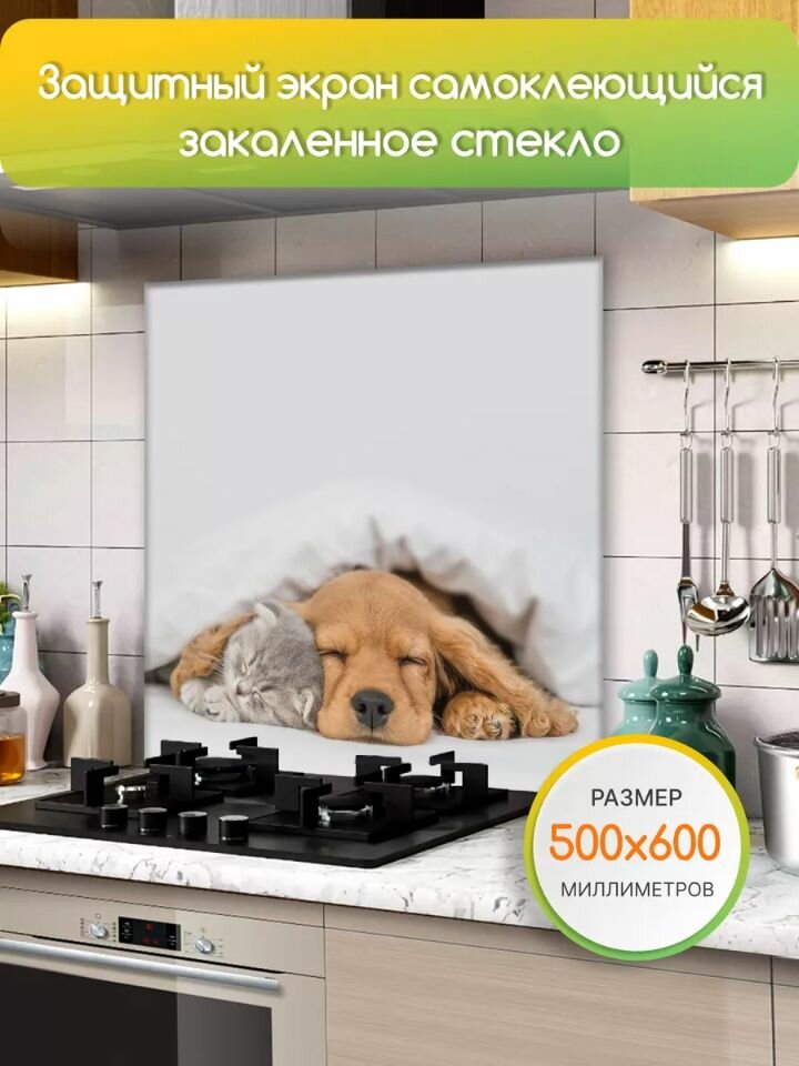 Защитный экран от брызг на плиту 600х500х4мм. Стеновая панель для кухни из закаленного стекла. Фартук для кухни на стену