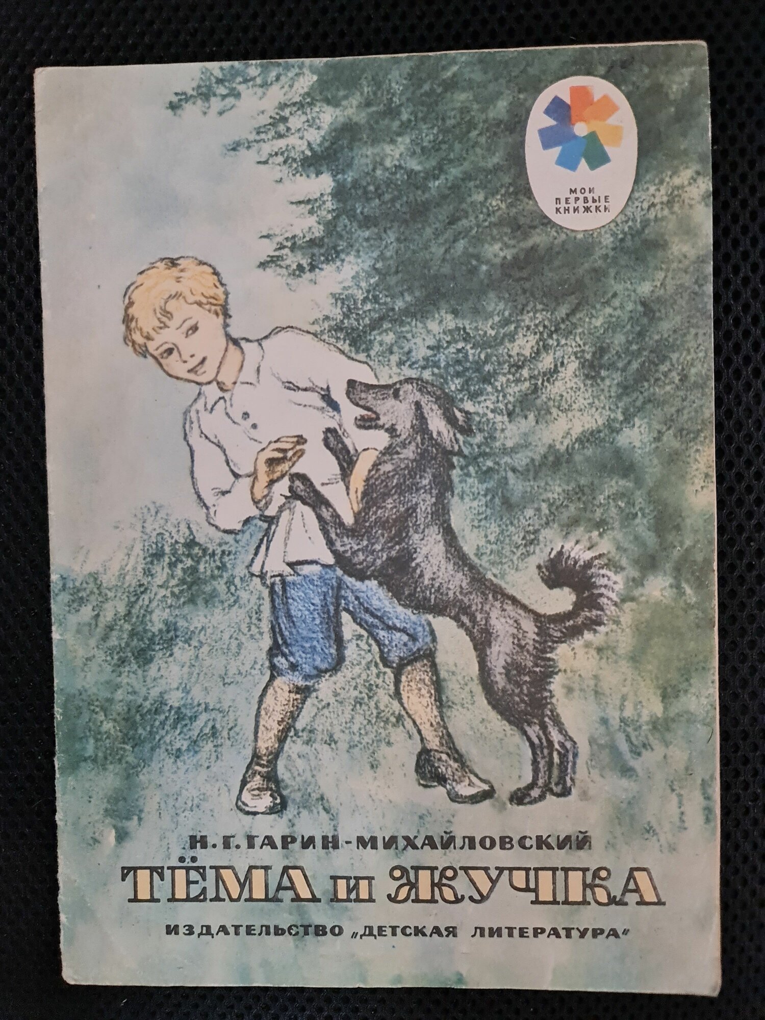 Редкая книга Н. Г. Гарин-Михайловский "Тема и Жучка", отрывок из повести "Детство Темы", художник Д. Штеренберг, 1977 г.