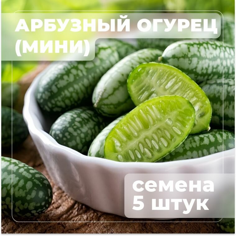 Арбузный огурец мини, необычный овощ для сада, семена 5 штук