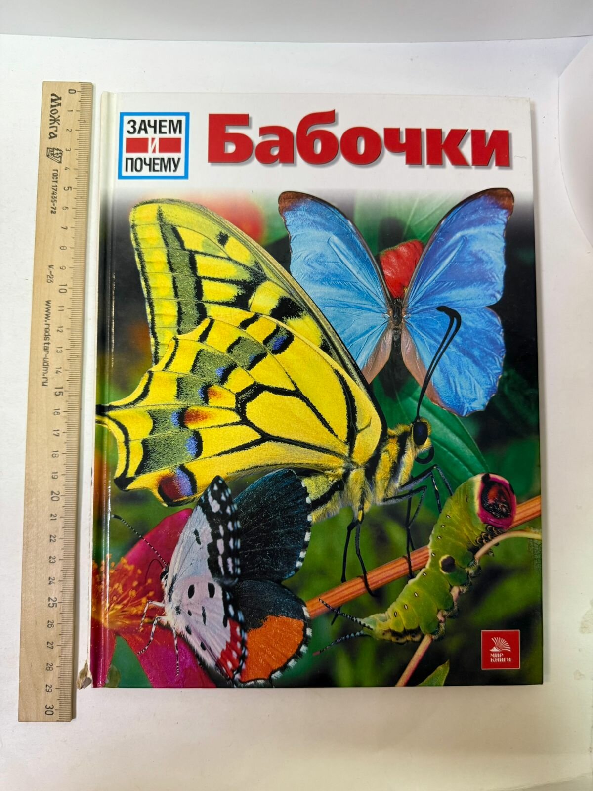 Бабочки.