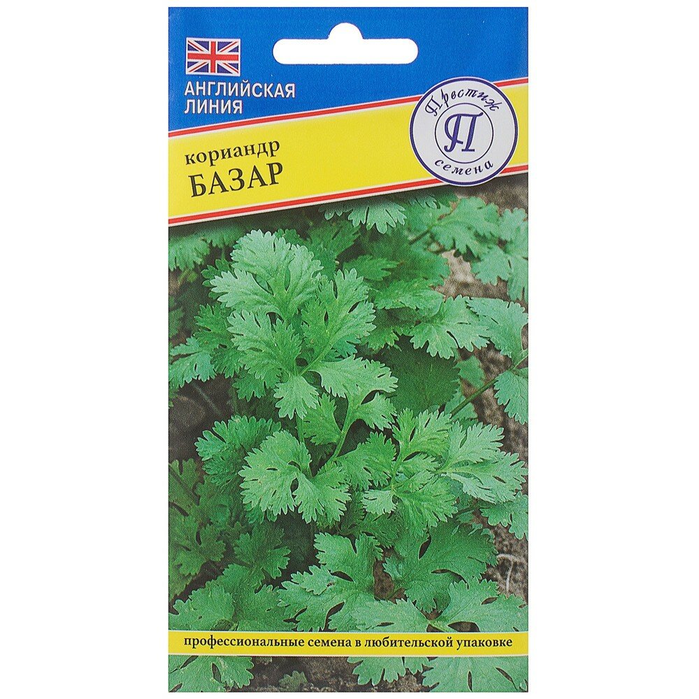 Семена Кориандр Базар, (3 упак.)