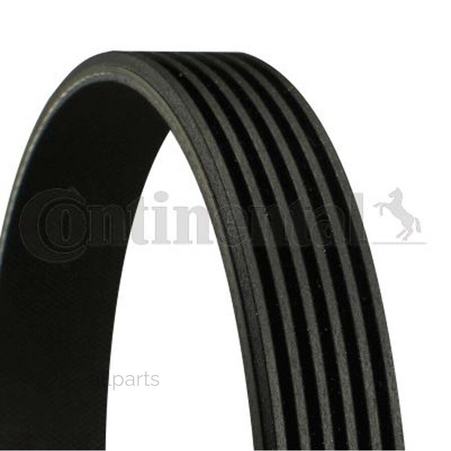 CONTINENTAL 6PK2225 Ремень поликлиновой