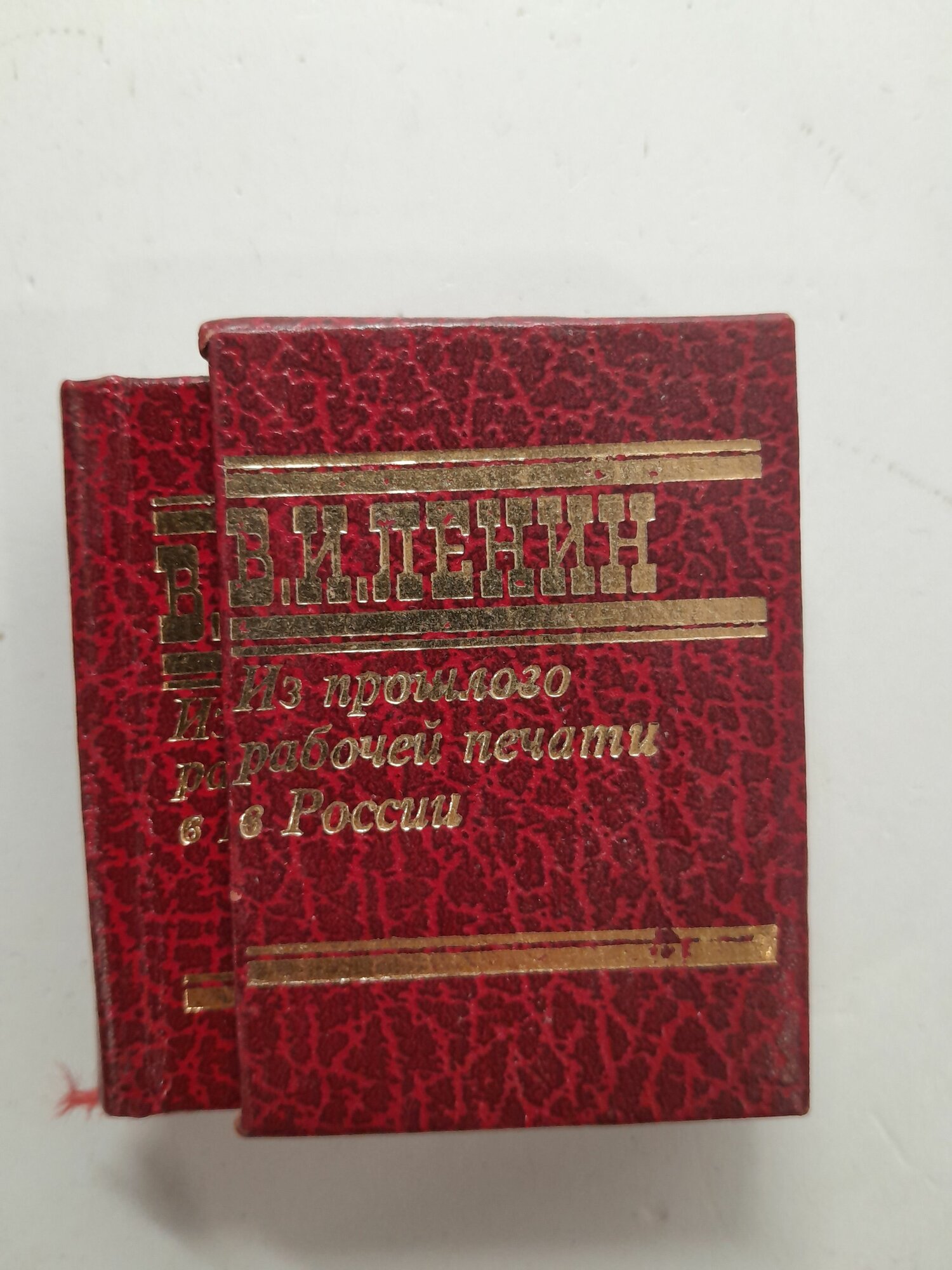 В. И. Ленин / Из прошлого рабочей печати в России