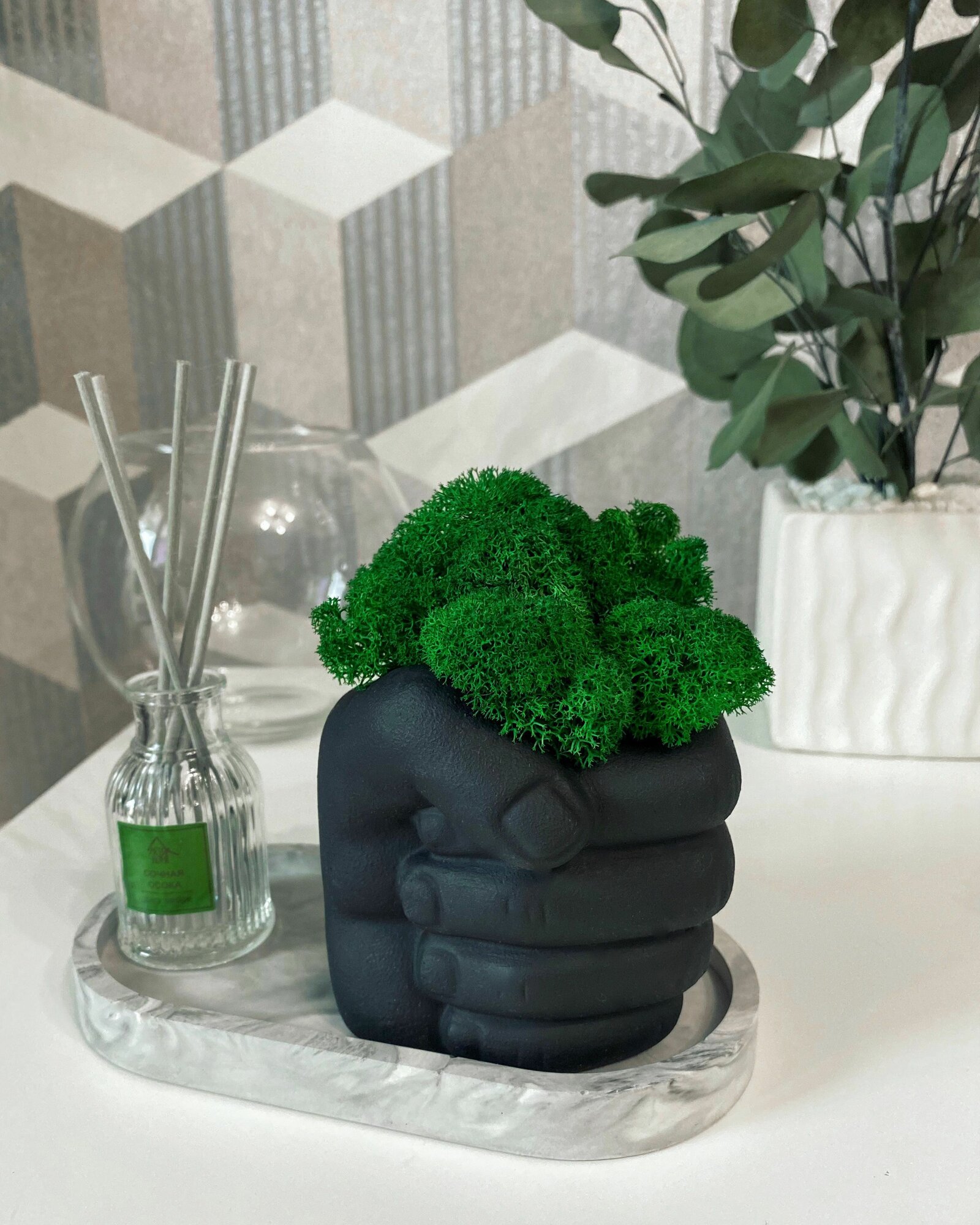 Стабилизированный мох в кашпо/мох для декора