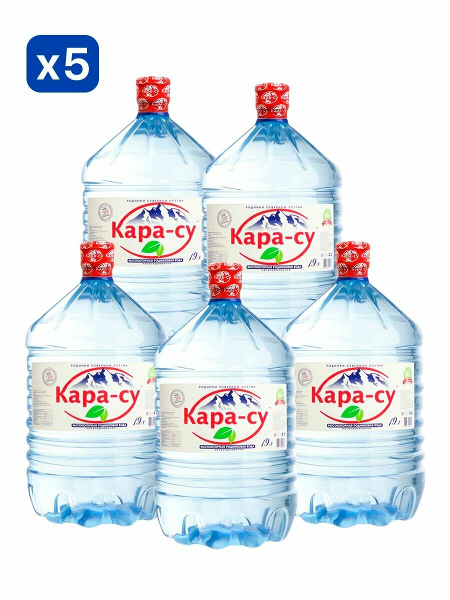 Вода питьевая Кара-Су 19л негазированная (бутыль одноразовая 5 шт.)
