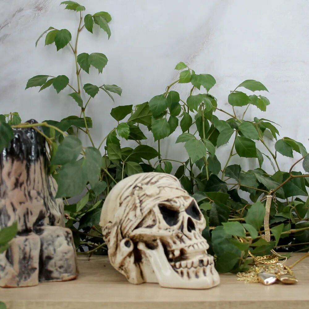 Шкатулка для украшений и мелочей Череп Пирата , гипс , 14 см