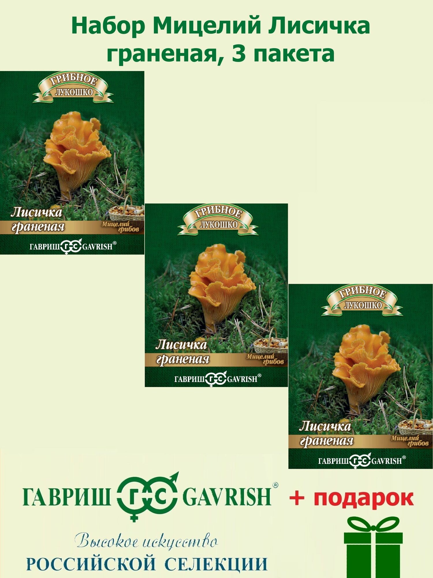 Набор Мицелий Лисичка граненая на зерновом субстрате, 3 пакета, Гавриш